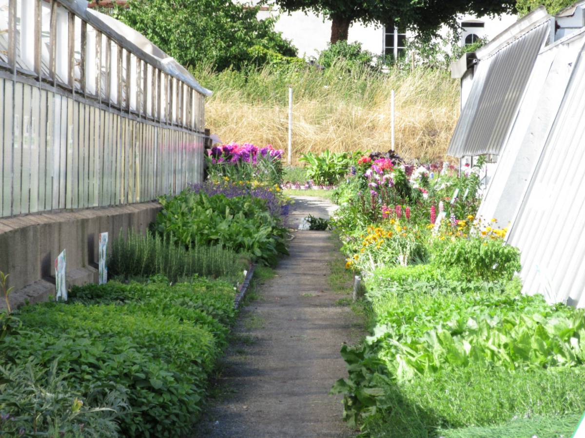 Jardin Malin Montlouis